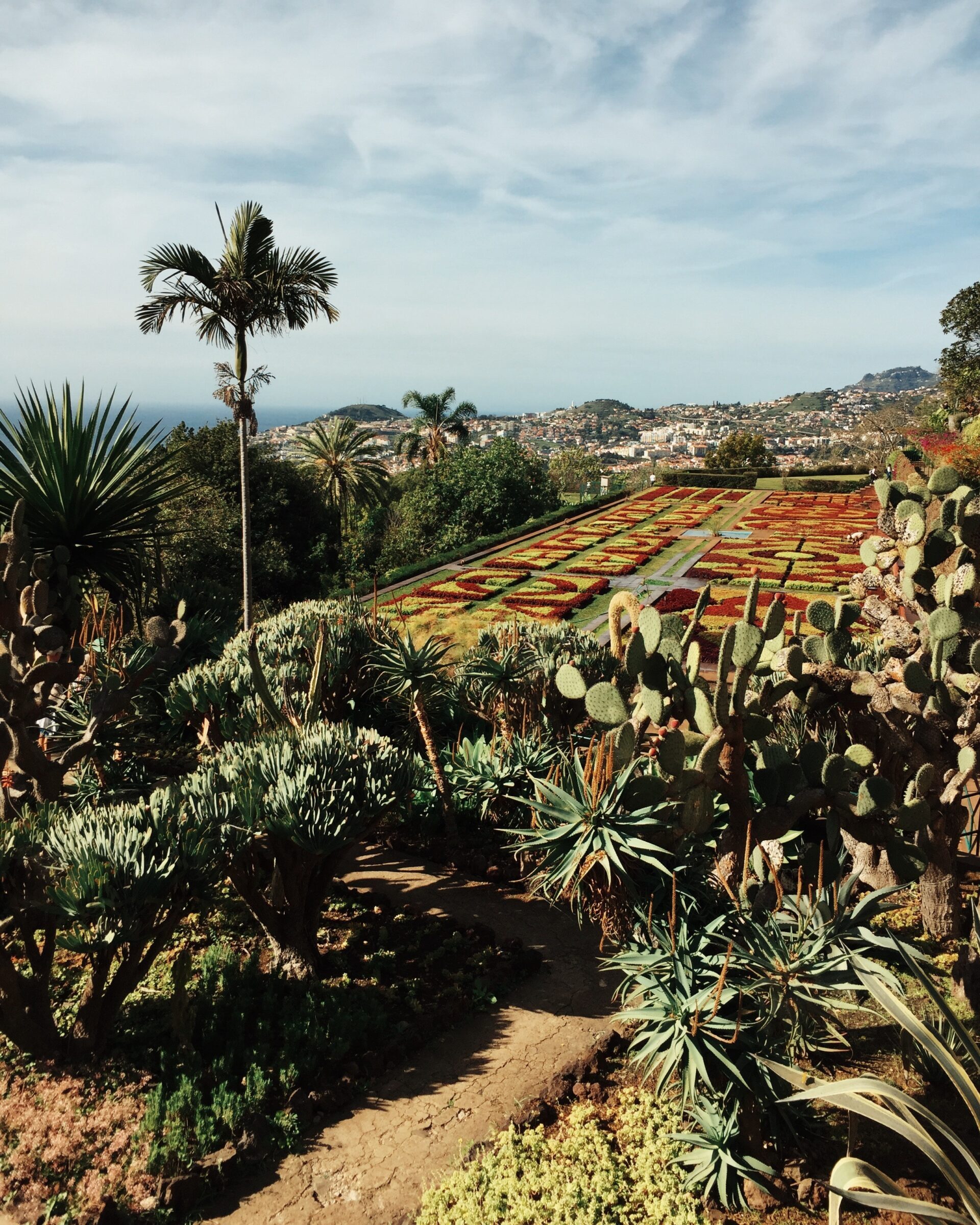 Madeira: Portugal’s Undiscovered Island - maia