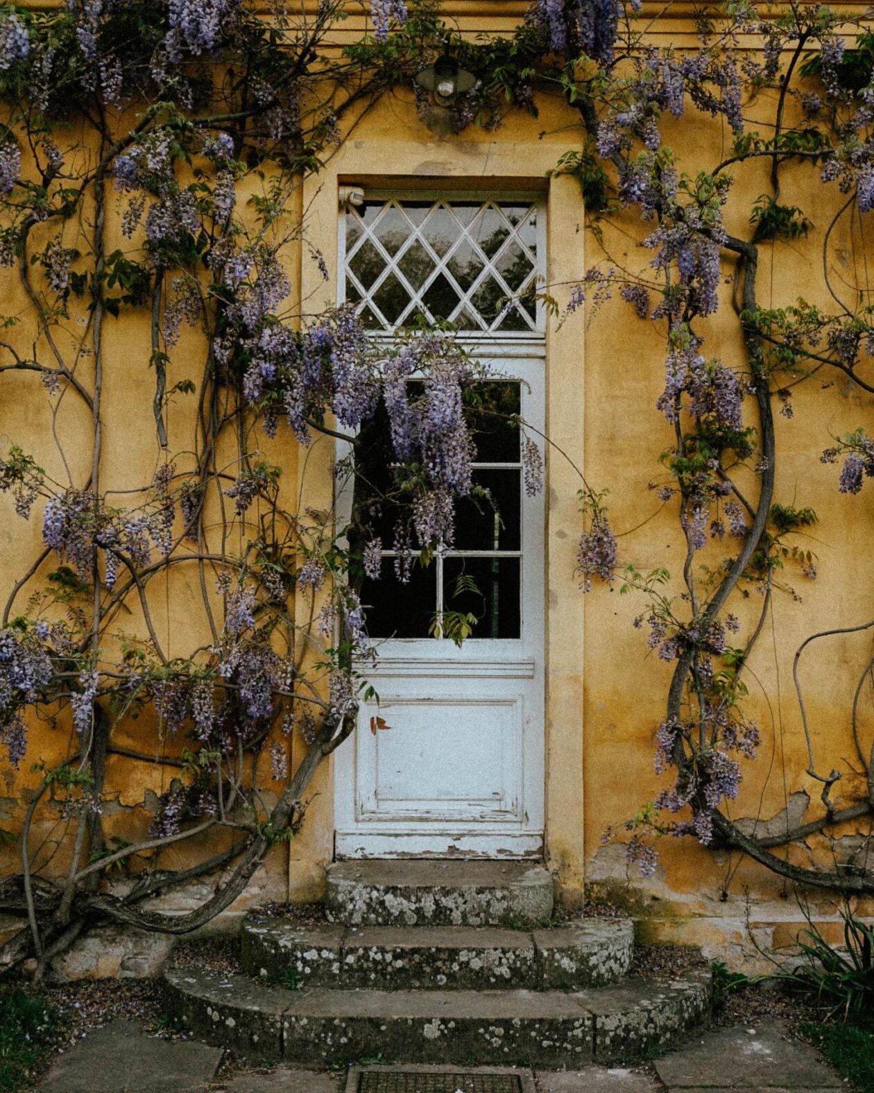 Maia Conscious Living - maia