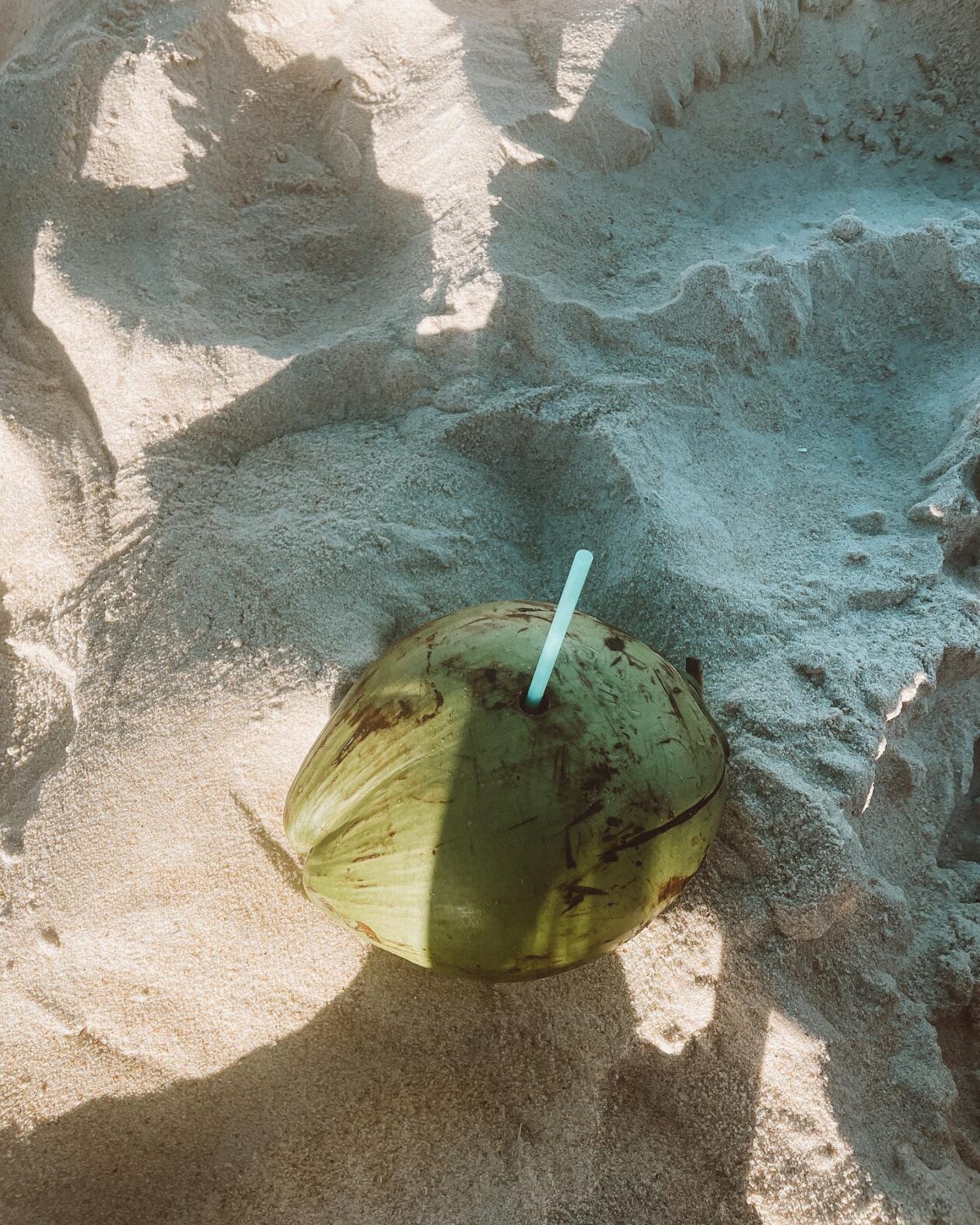 Maia Conscious Living - maia