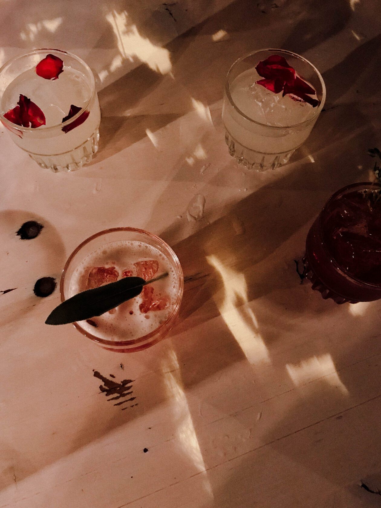 Maia Conscious Living - maia