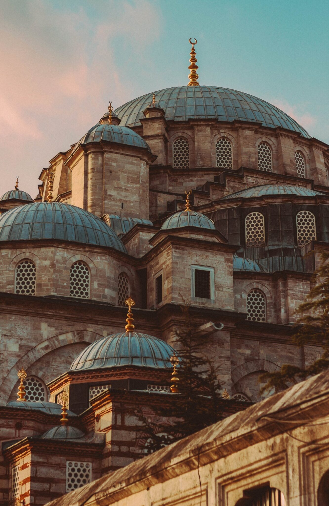 Maia Conscious Living - maia