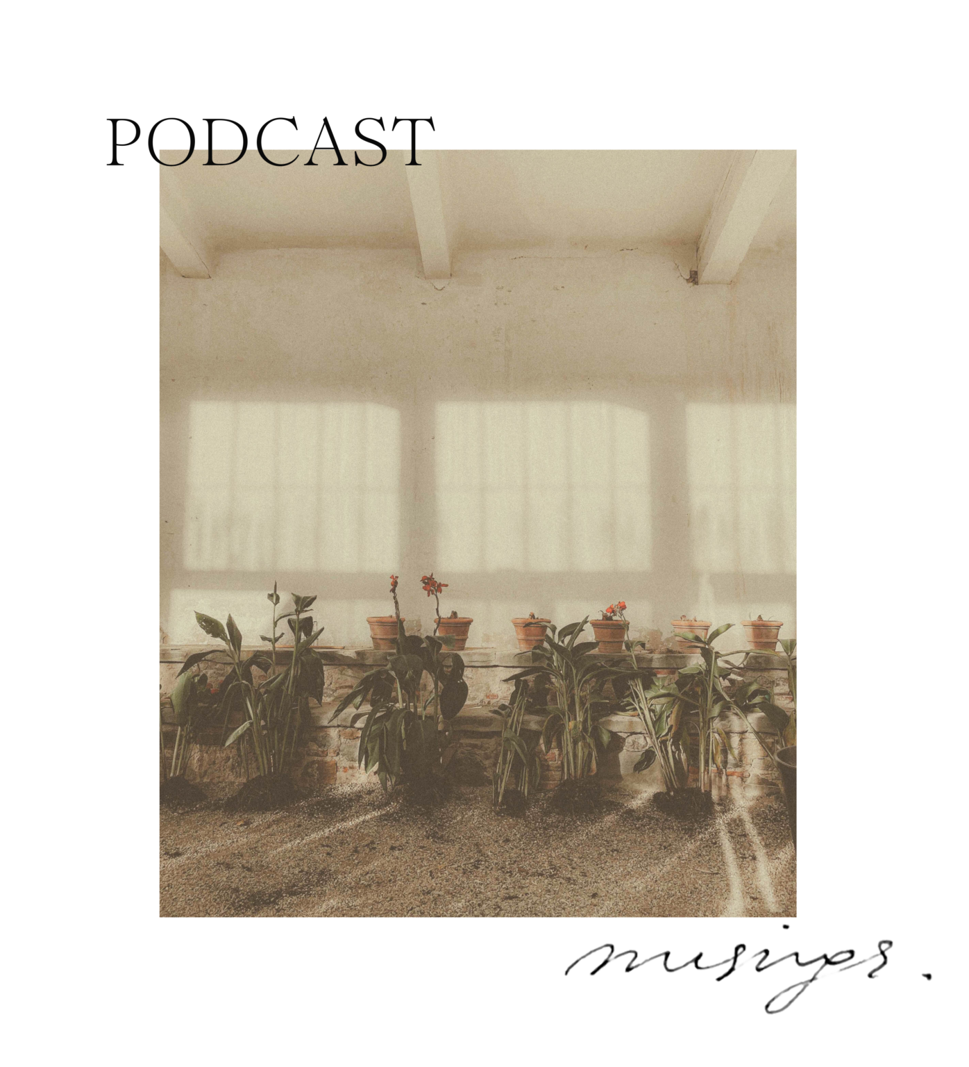 Maia Conscious Living - maia