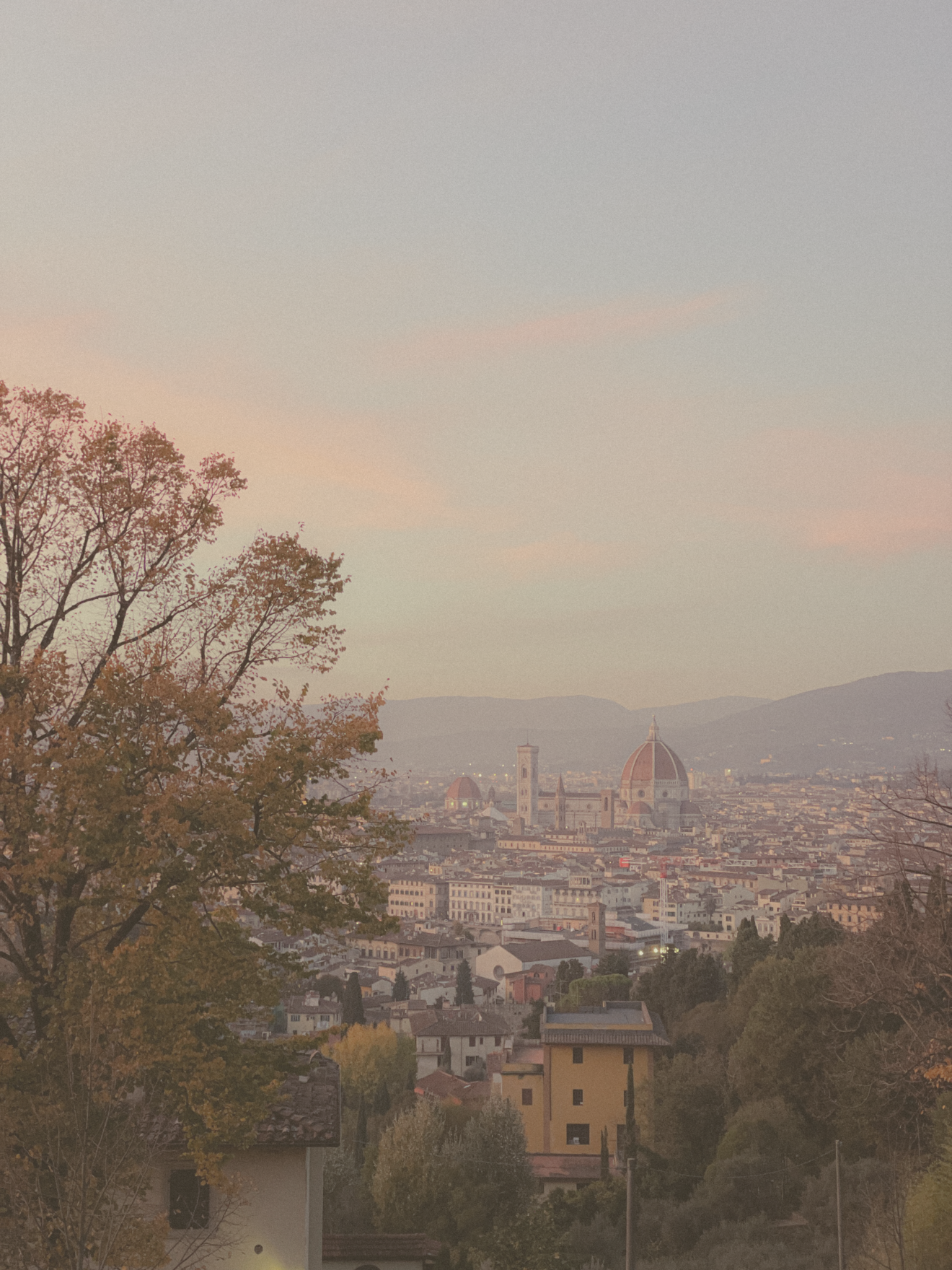 Maia Conscious Living - maia