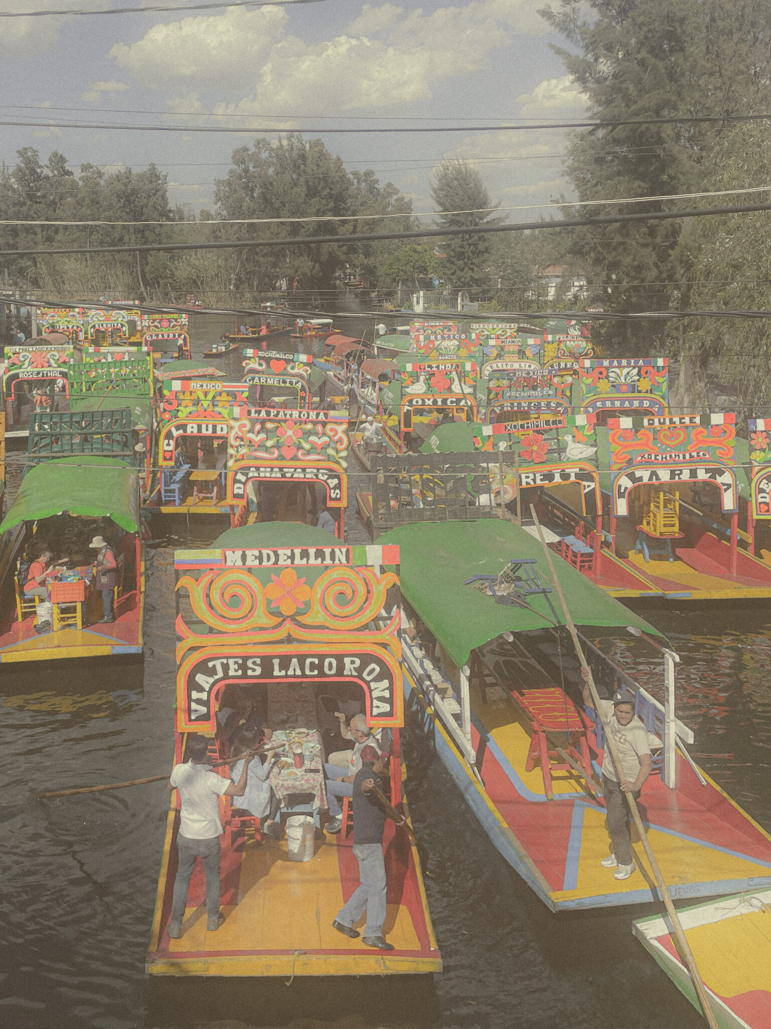 Maia Conscious Living - maia