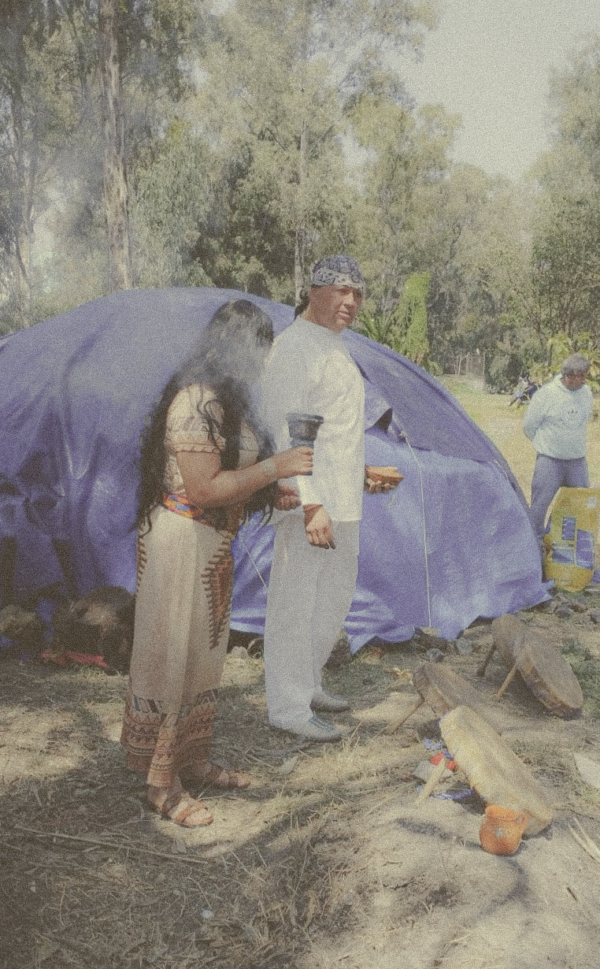 Maia Conscious Living - maia