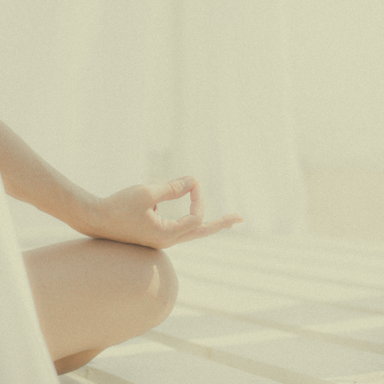 The 21 Day Meditation Challenge - maia