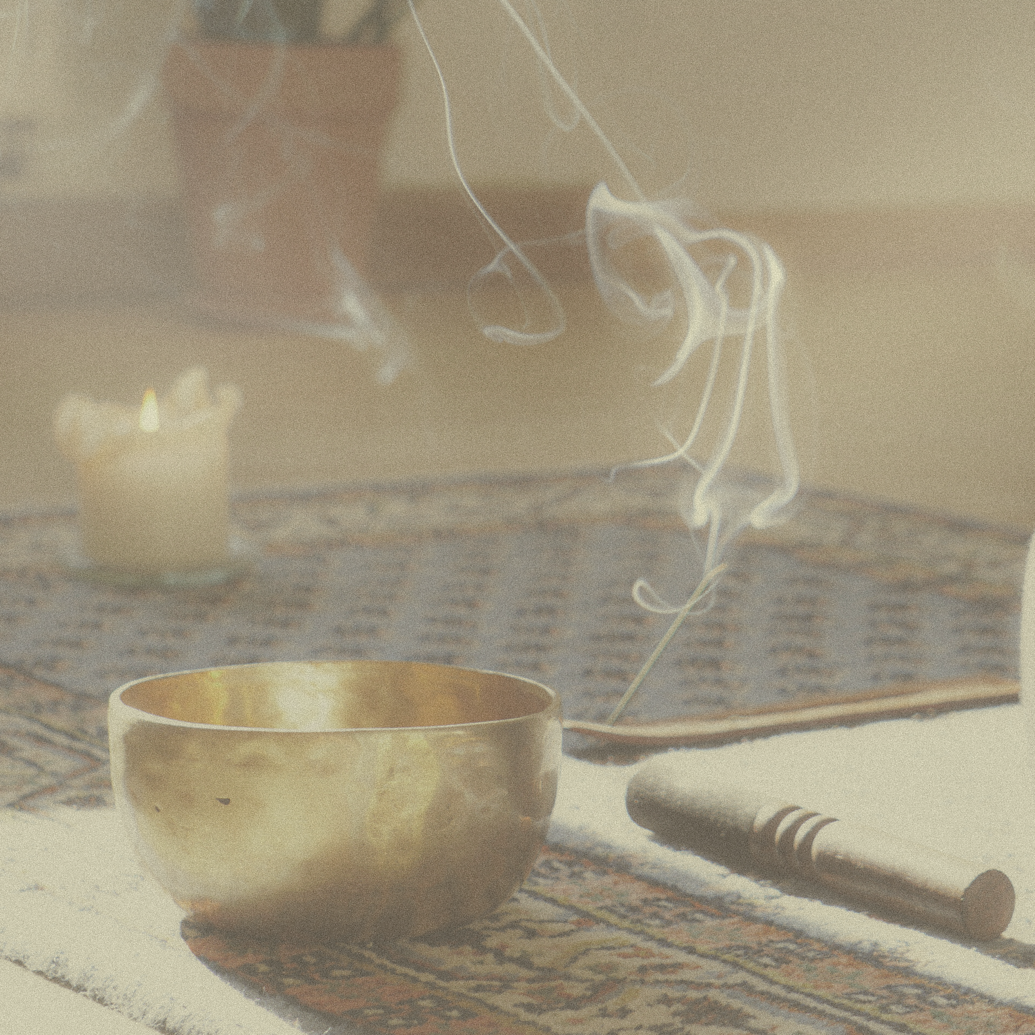 The 21 Day Meditation Challenge - maia